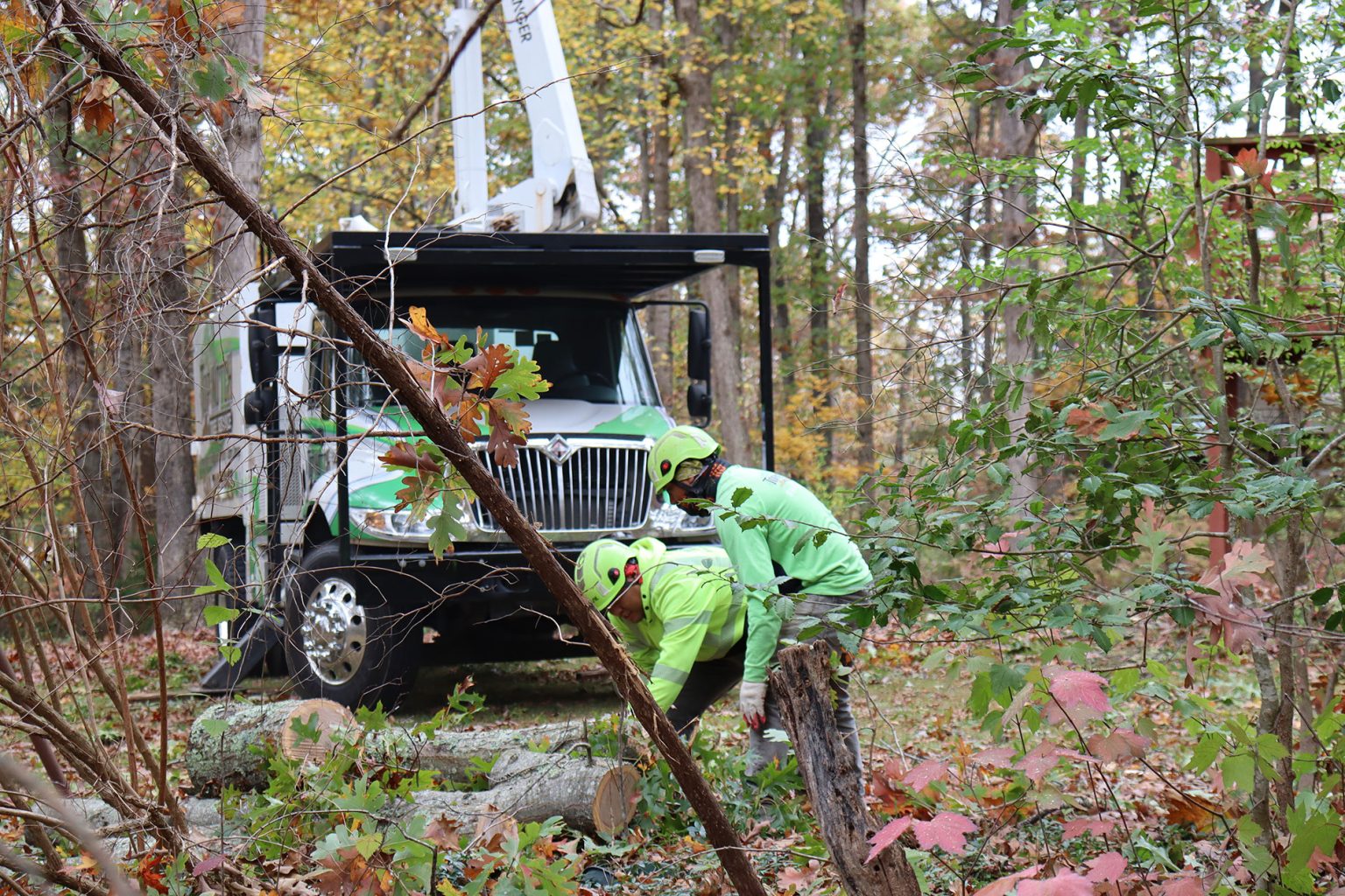 Best Tree Services in Fredericksburg, VA - Top Notch Tree Service, Inc.