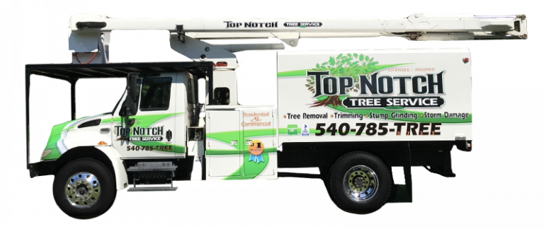 Best Tree Services in Fredericksburg, VA - Top Notch Tree Service